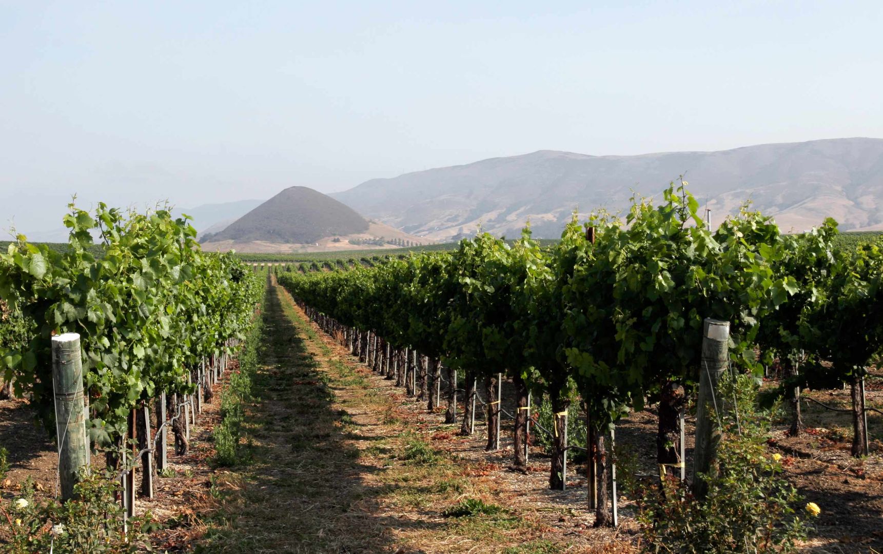 Contact | Apple Farm Inn